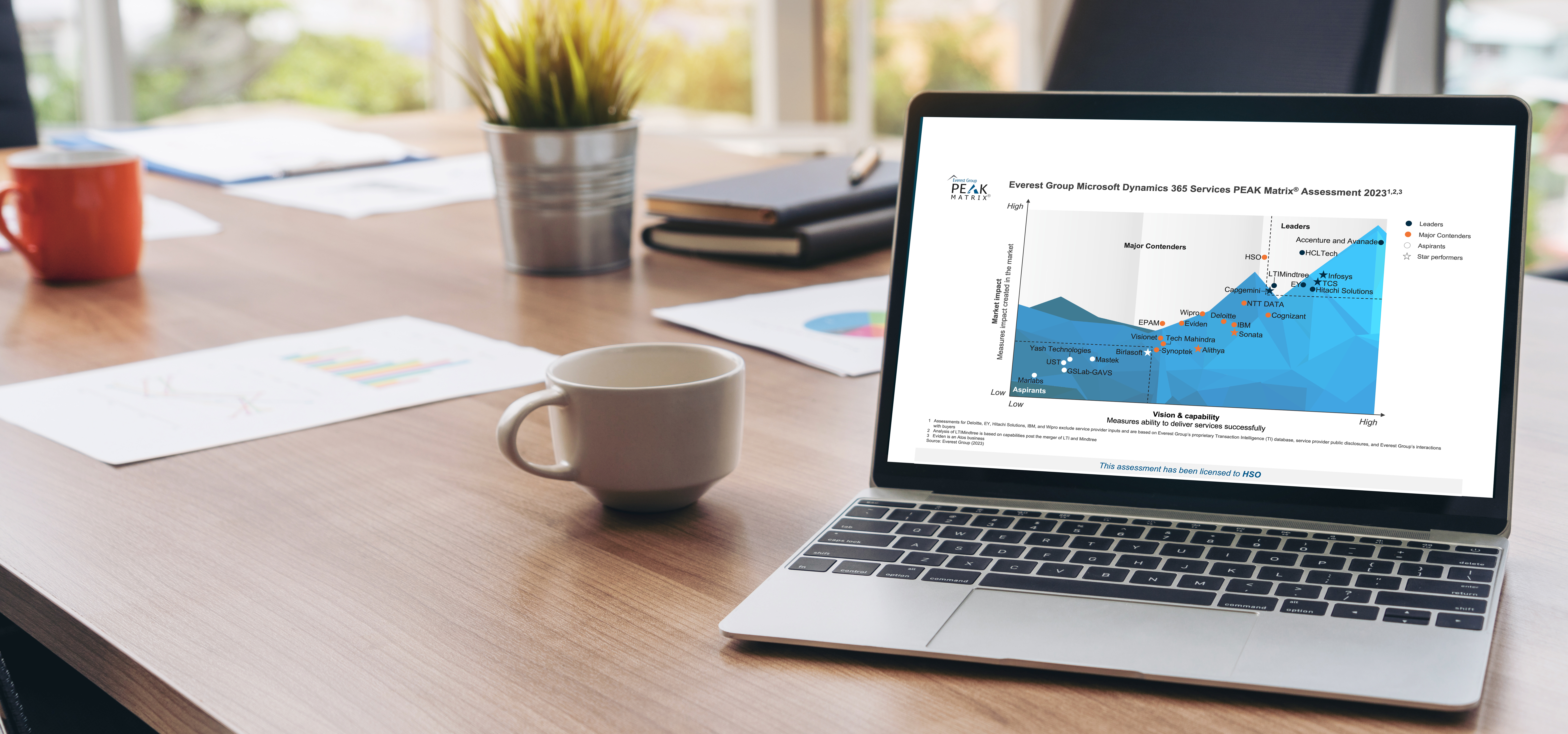 The Global Microsoft ERP Partner | HSO