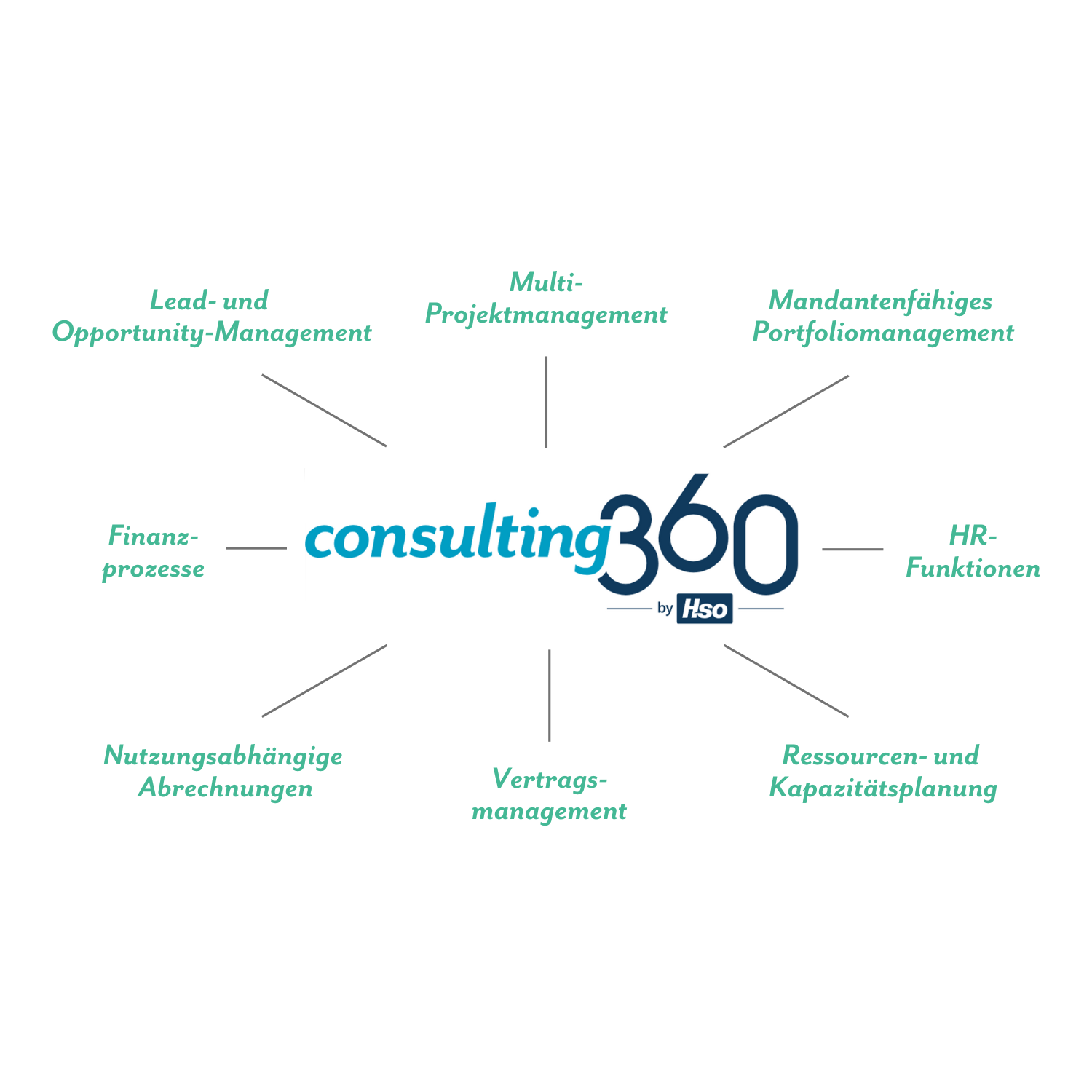 Microsoft Professional Services von HSO